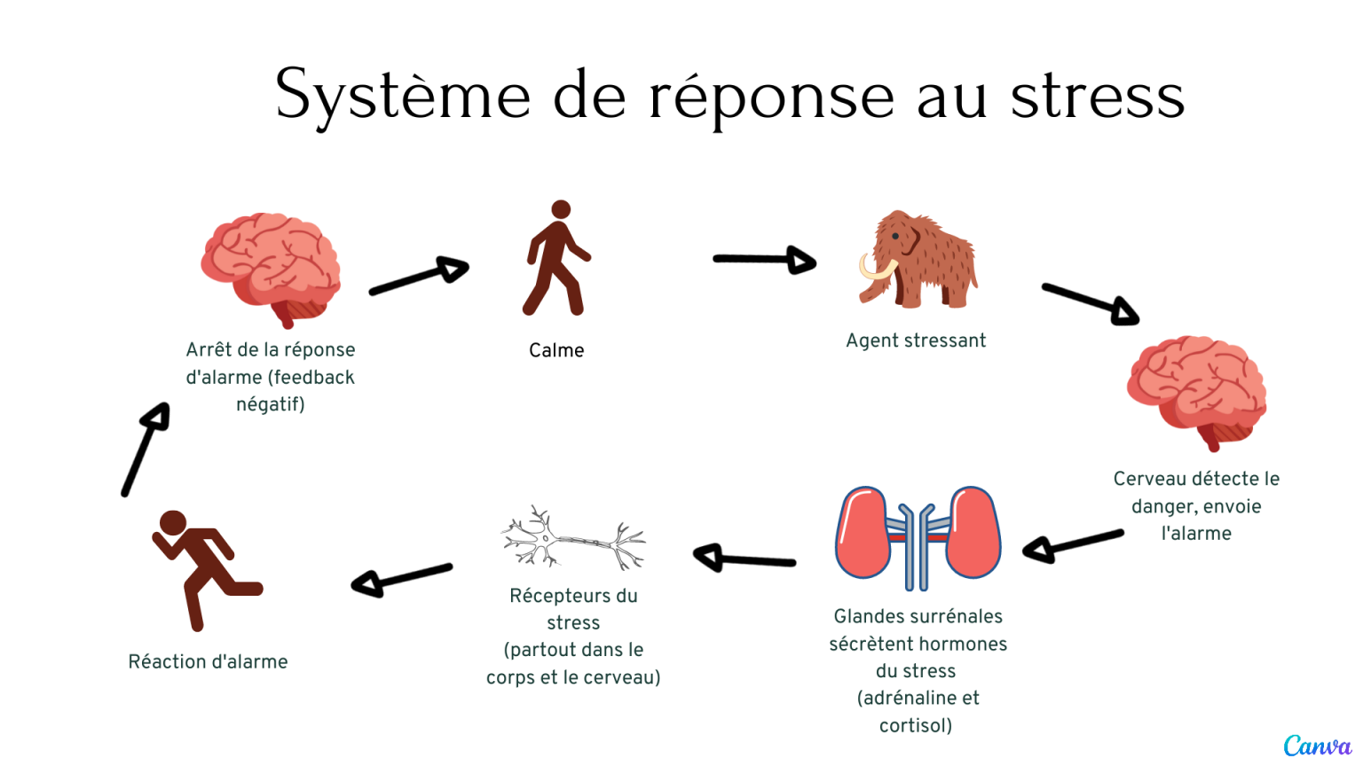 Guide Le stress et les examens